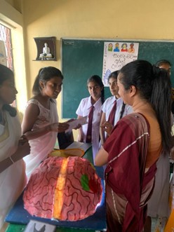 හරසර - 2024