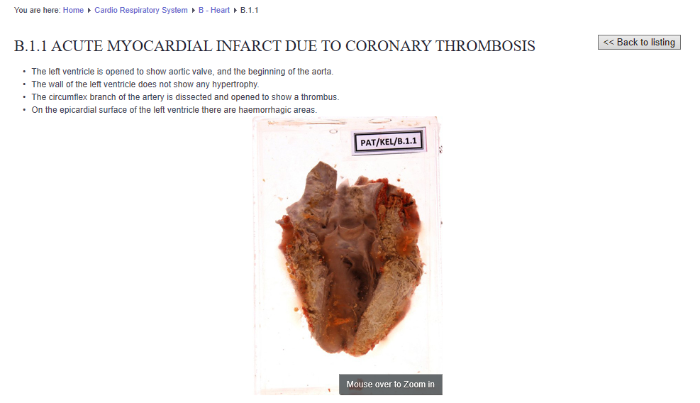Faculty of Medicine, University of Kelaniya - Pathology Museum